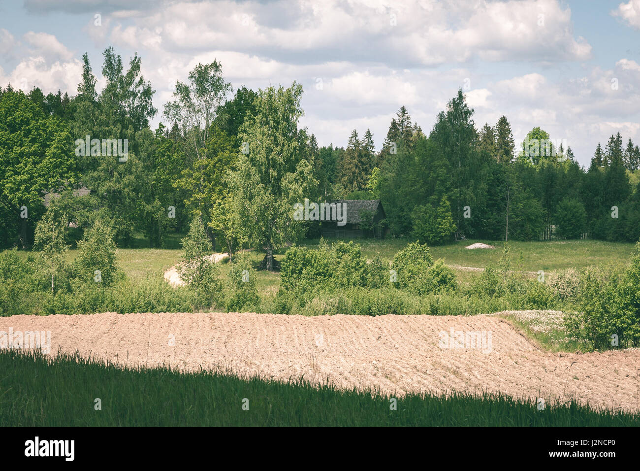bright fresh fields in country under blue sky with white storm clouds - vintage film effect ...