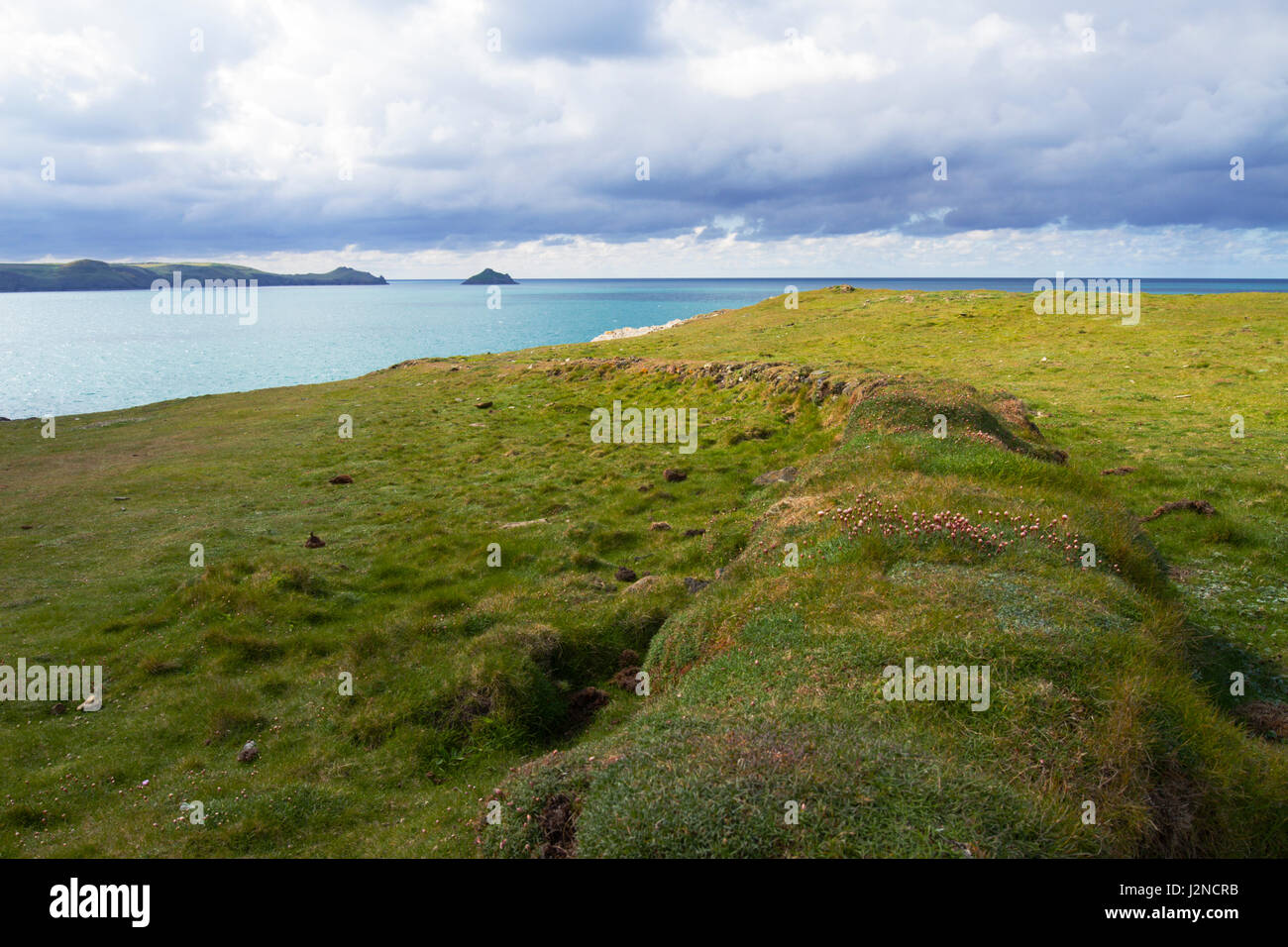 Lundy Bay from the Coastal path near Port Quin Stock Photo - Alamy