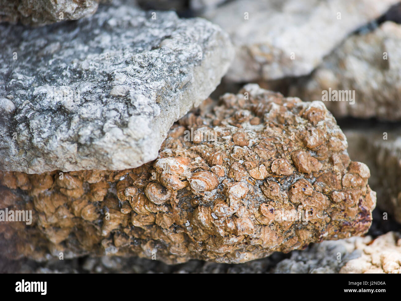 Prehistoric graveyard hi-res stock photography and images - Alamy