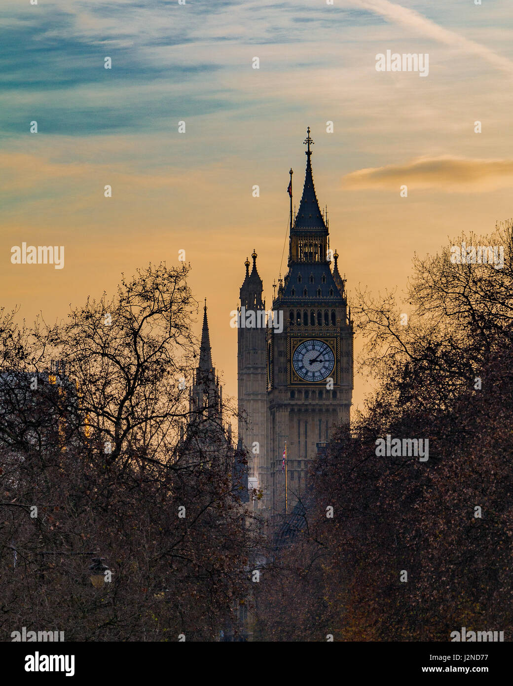 Big ben trees hi-res stock photography and images - Alamy