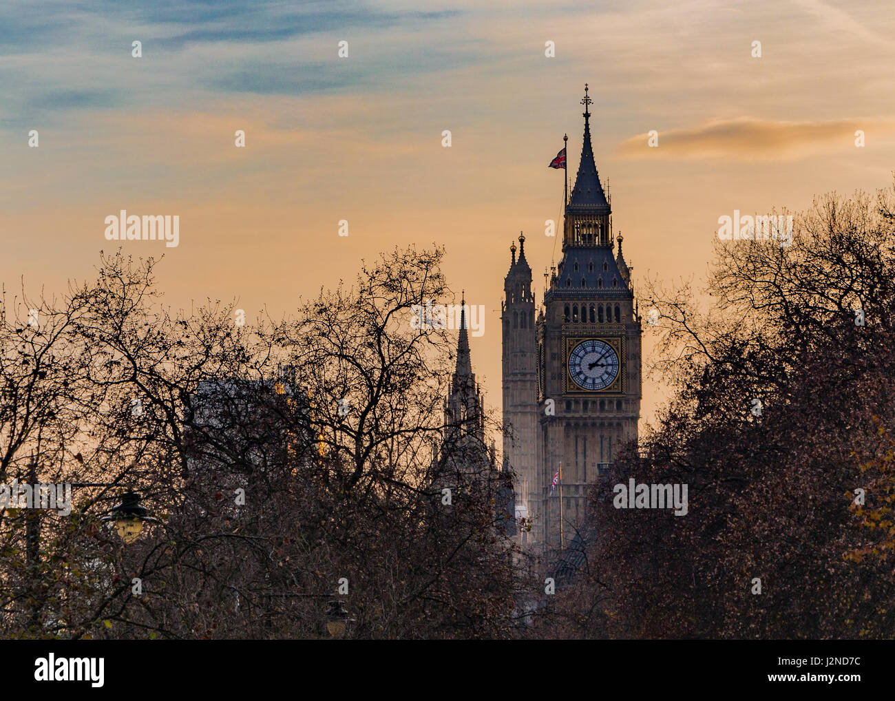 Big ben trees hi-res stock photography and images - Alamy