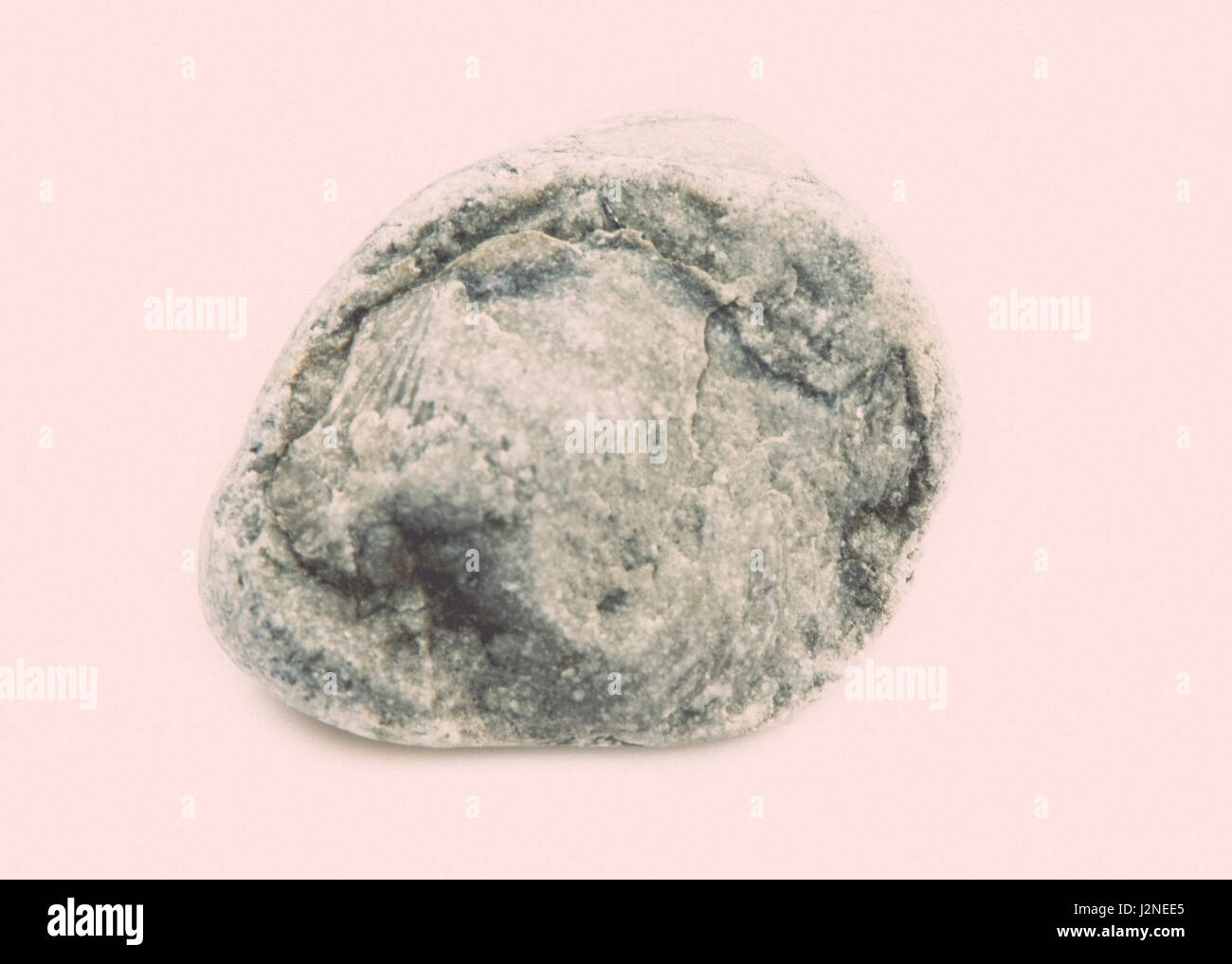 single stone isolated on white background. geological element. vintage ...