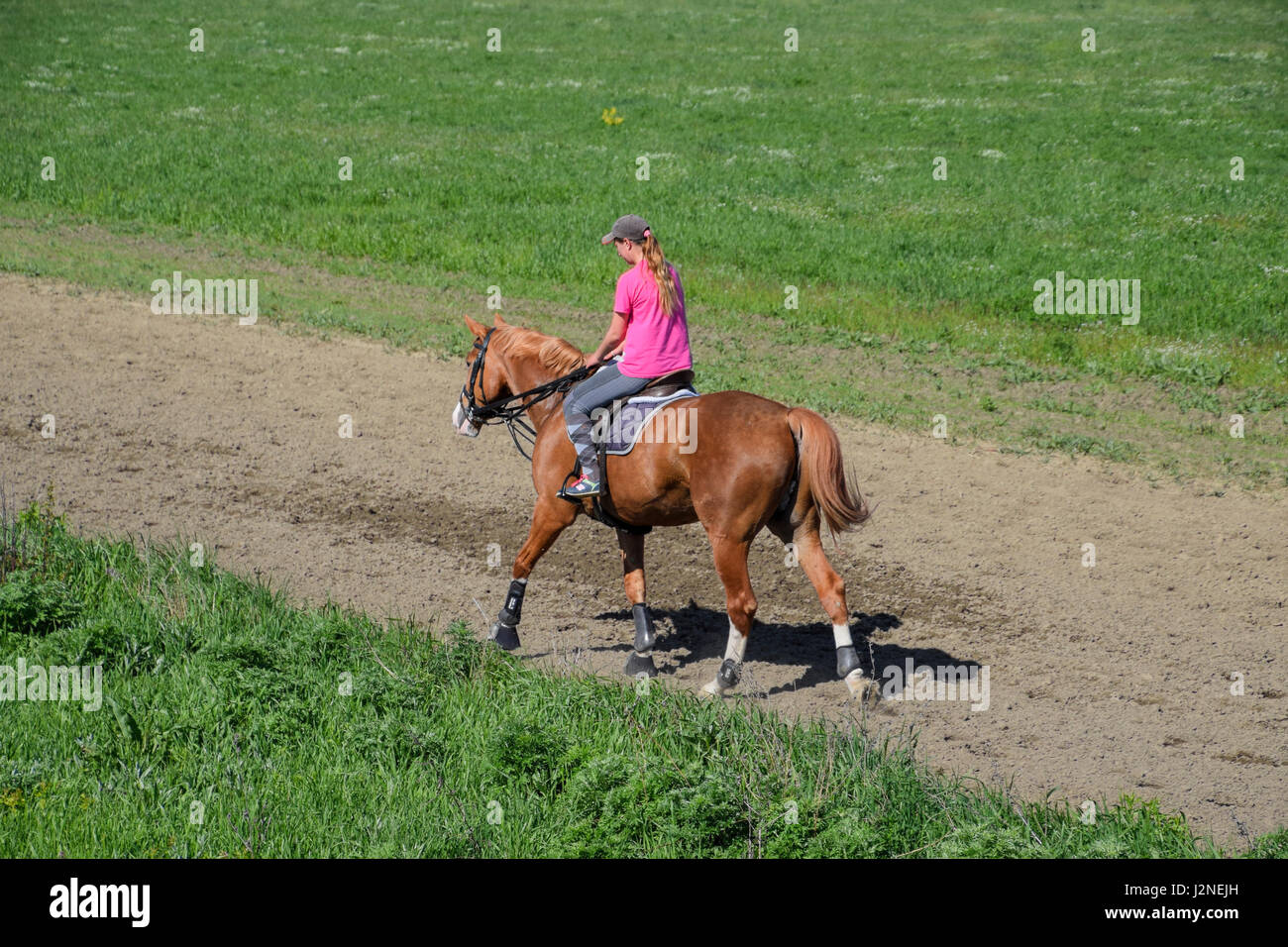 Krasnodar, Russia - April 28, 2017: Equestrian sports with teenagers ...