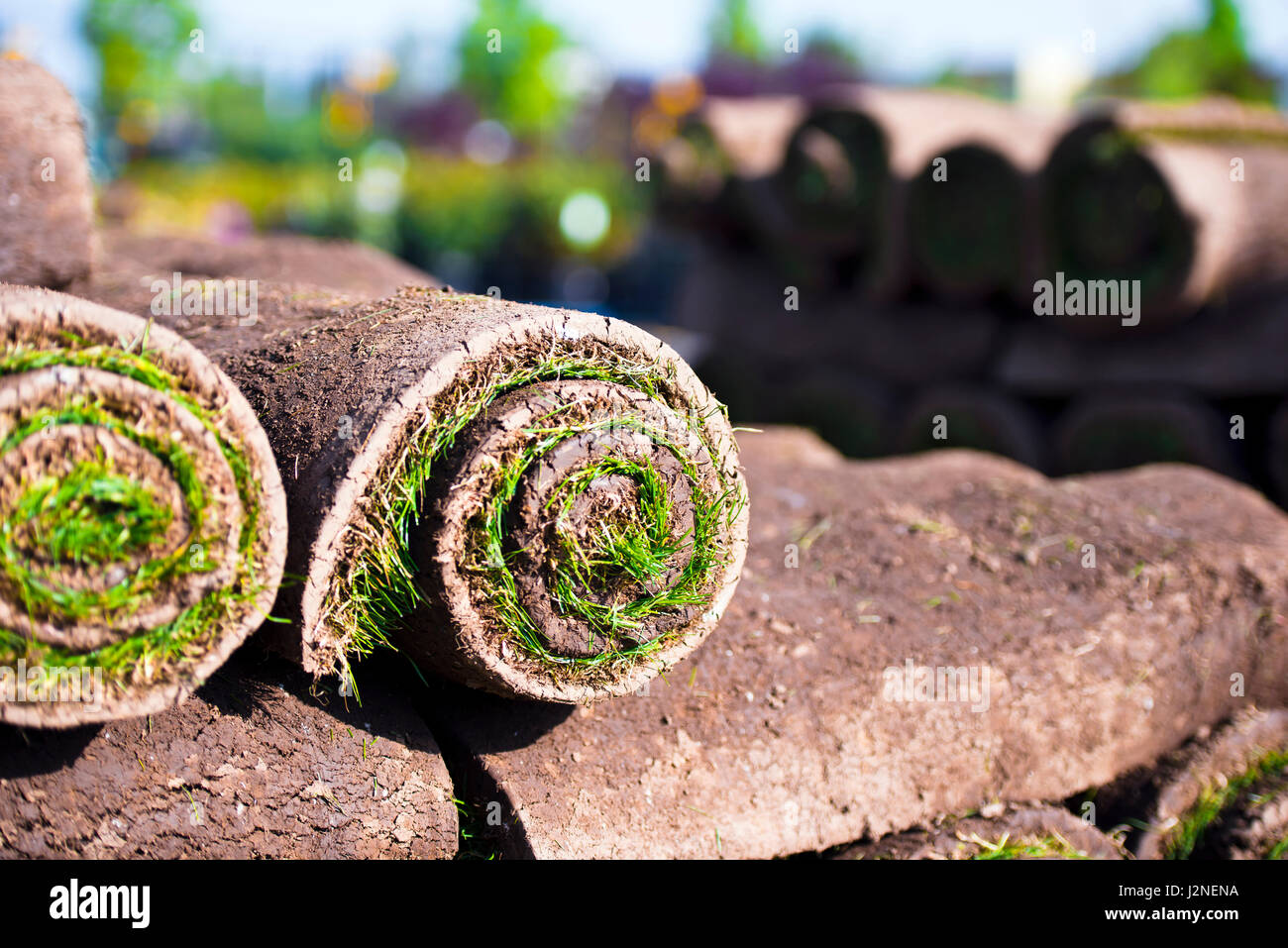 Lawn rolls hi-res stock photography and images - Alamy