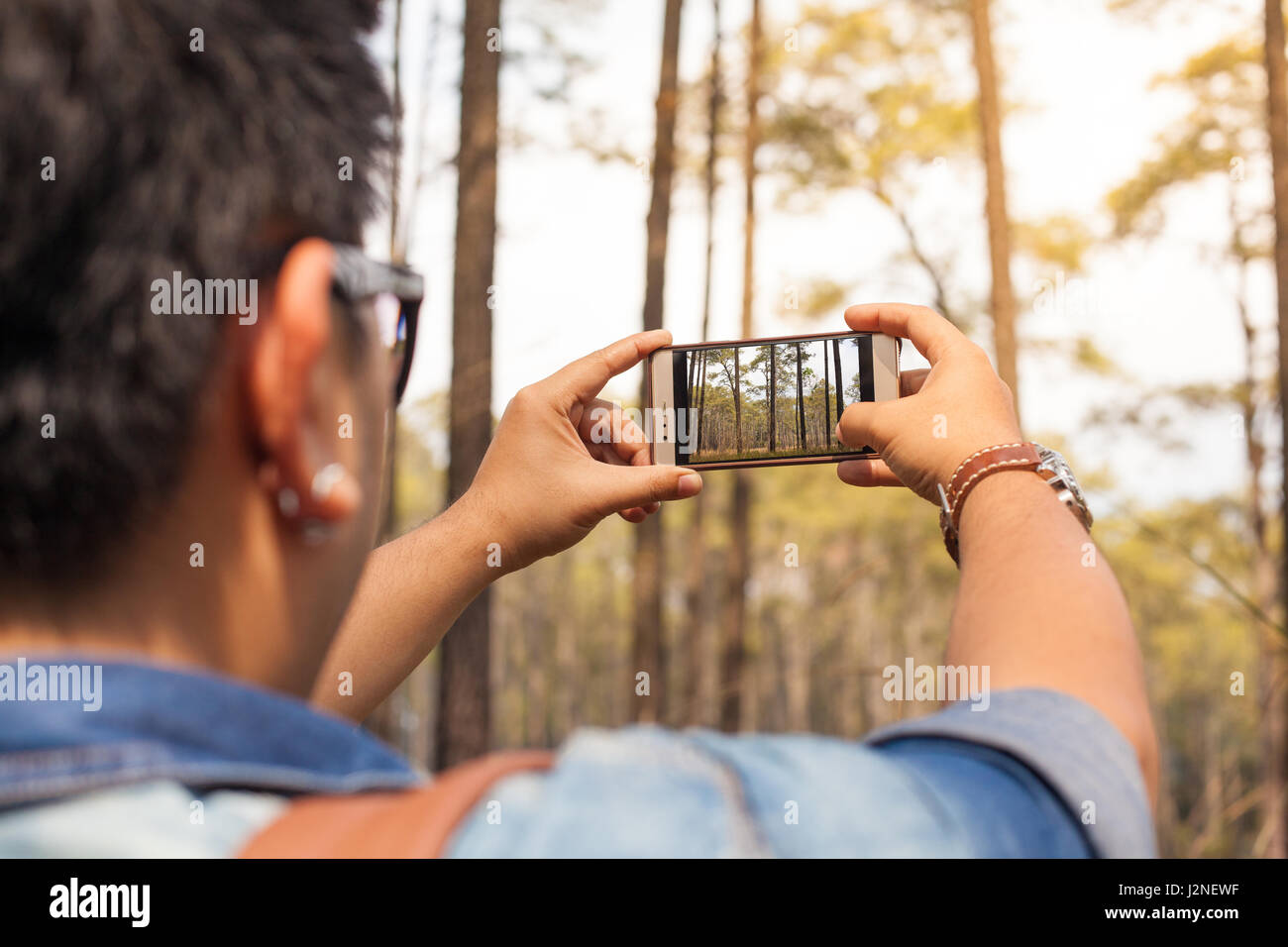 Man in beautiful pine forest hi-res stock photography and images - Alamy