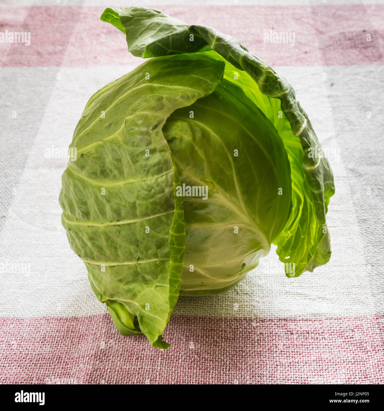 Cabbage leafy vegetable plant edible hi-res stock photography and ...