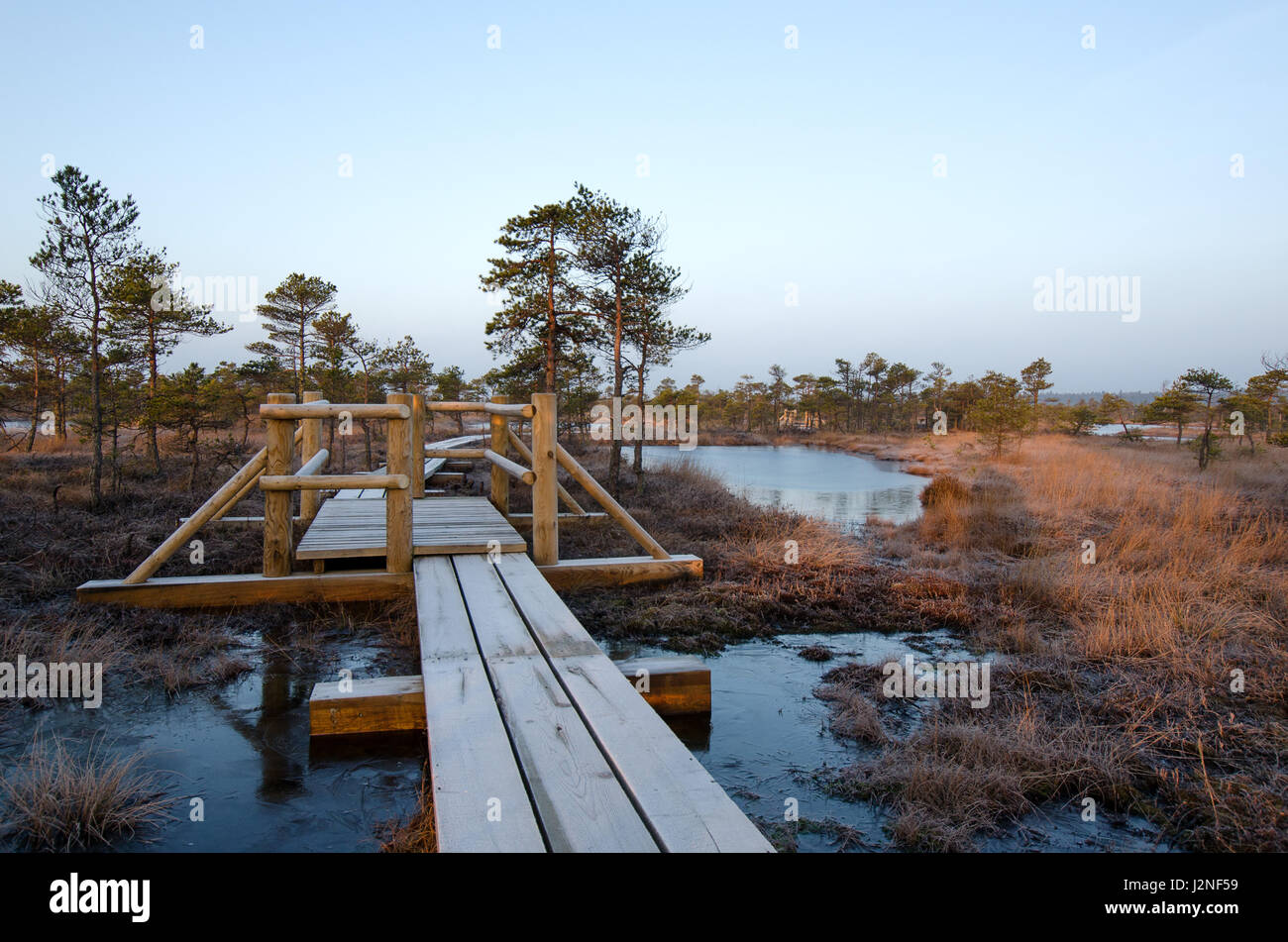 Landscape photography. Swamp on a cold winter morning Stock Photo - Alamy