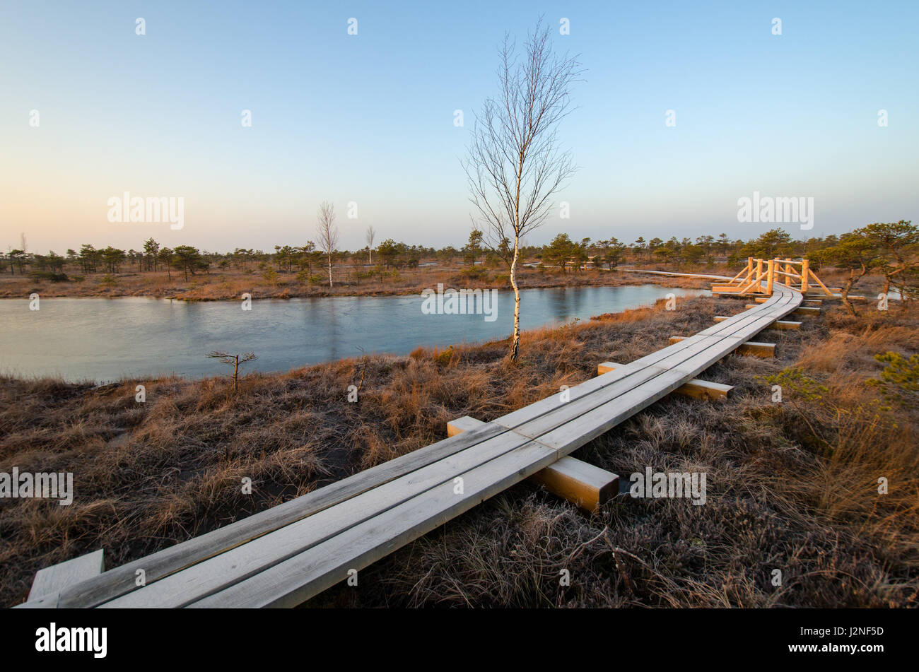 Landscape photography. Swamp on a cold winter morning Stock Photo - Alamy