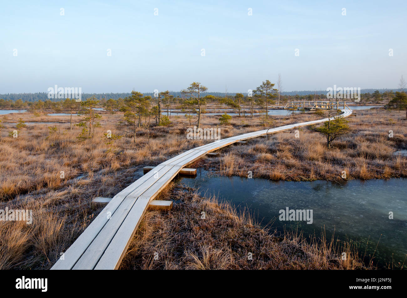 Landscape photography. Swamp on a cold winter morning Stock Photo - Alamy