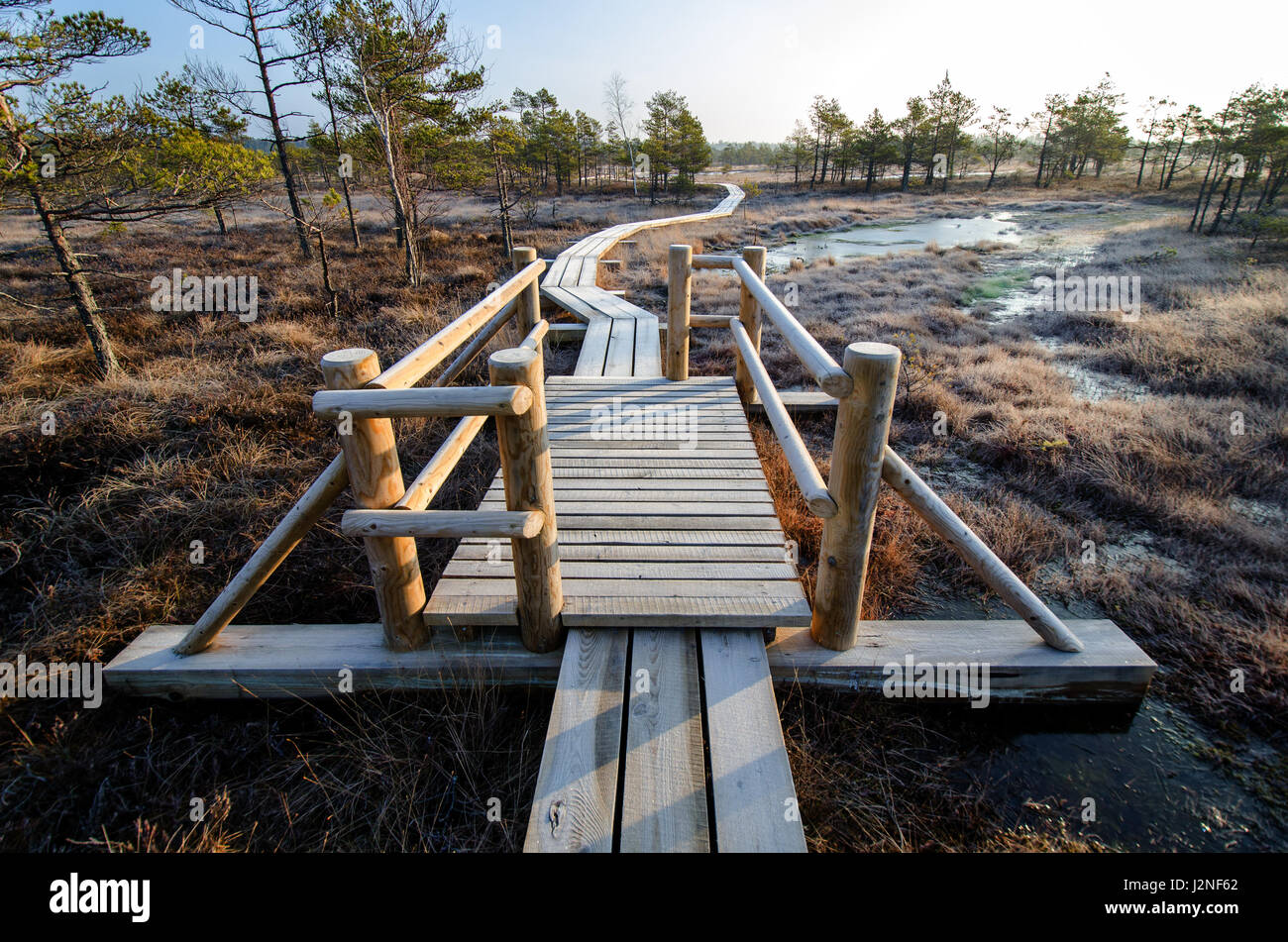 Landscape photography. Swamp on a cold winter morning Stock Photo - Alamy