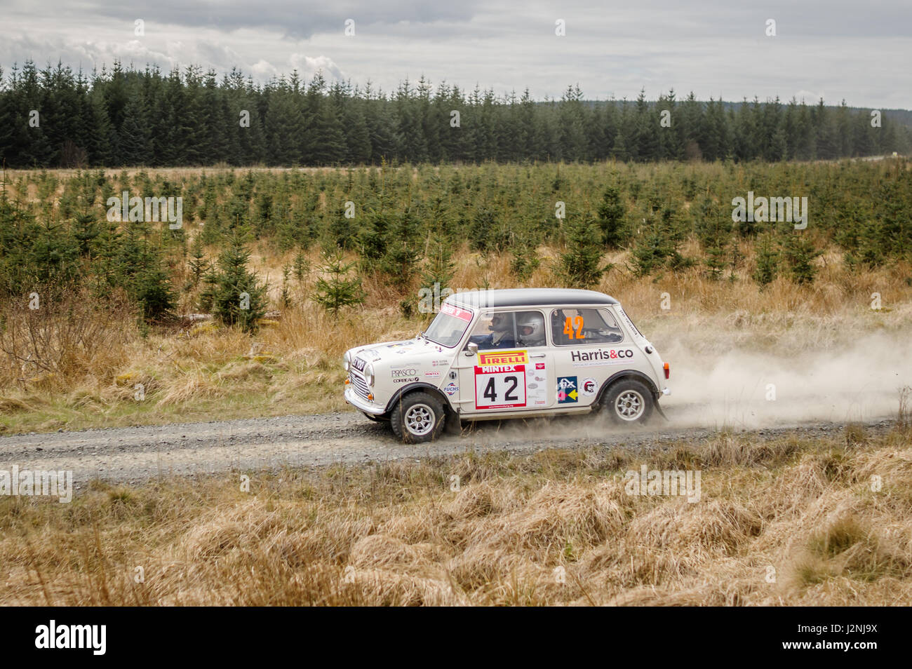 Morris mini cooper rally car hi-res stock photography and images - Alamy
