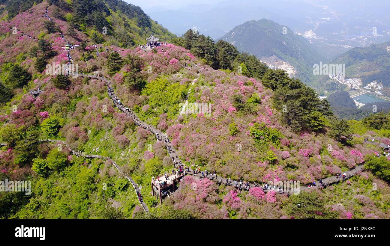 Guifeng scenic area hi-res stock photography and images - Alamy