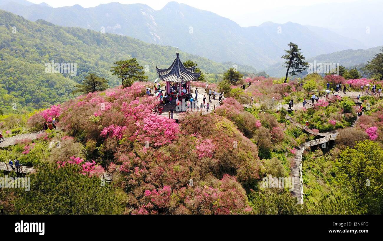 Macheng, China's Hubei Province. 29th Apr, 2017. Tourists visit Guifeng ...