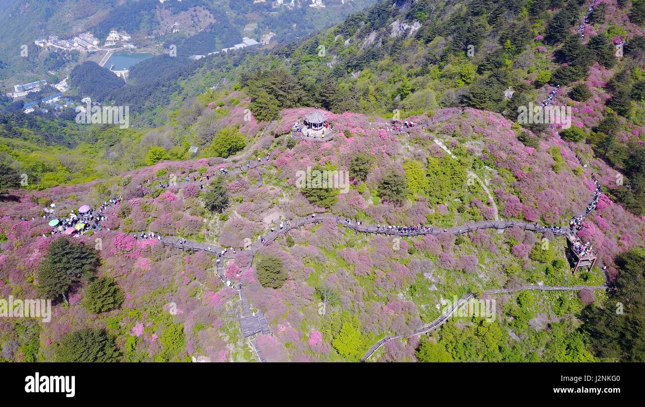 Macheng, China's Hubei Province. 29th Apr, 2017. Tourists visit Guifeng ...
