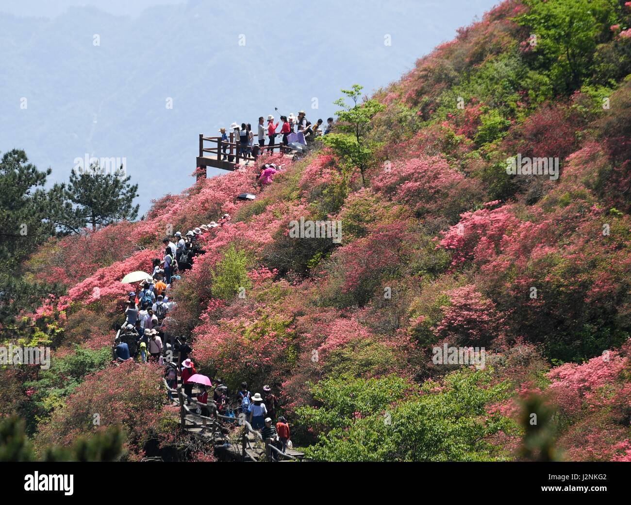 Macheng, China's Hubei Province. 29th Apr, 2017. Tourists visit Guifeng ...