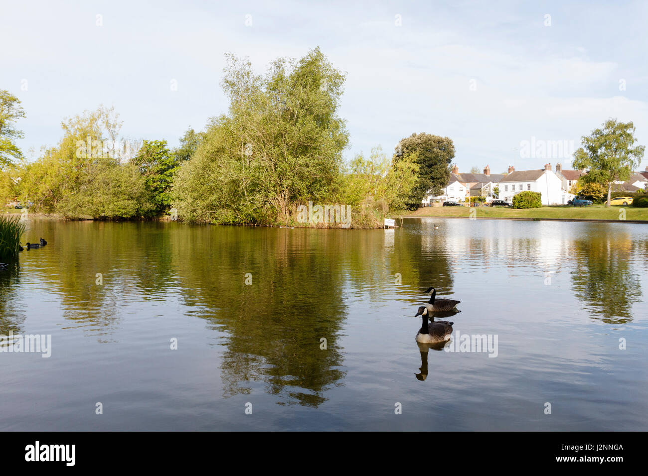 Hailsham town hi-res stock photography and images - Alamy