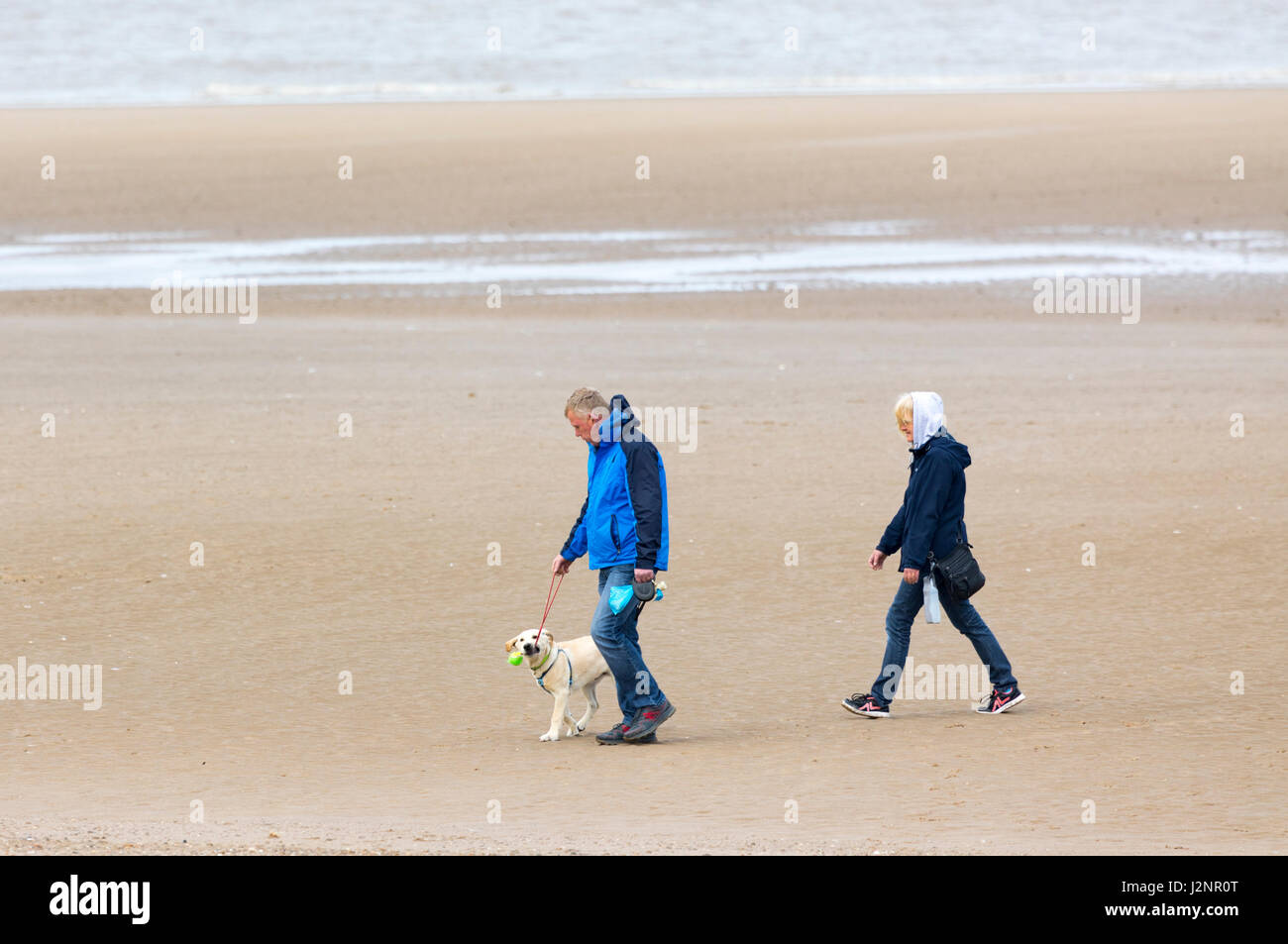 Enjoy the creeps hi-res stock photography and images - Alamy