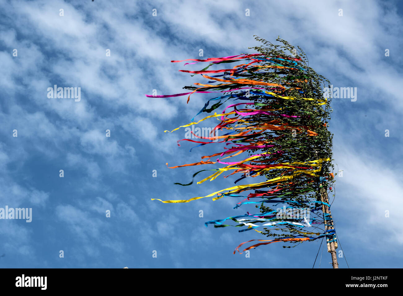 Cologne, Germany. 30th Apr, 2017. The colourful ribbons of a maypole ...