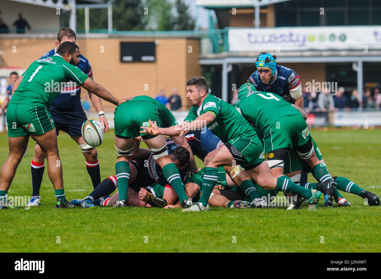 Rugby Union Action Scrum High Resolution Stock Photography and Images ...