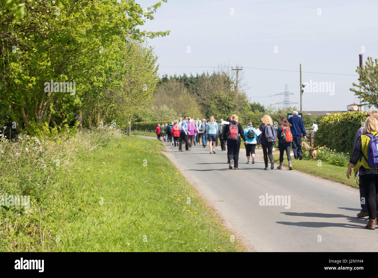 Sponsored walk hi-res stock photography and images - Alamy
