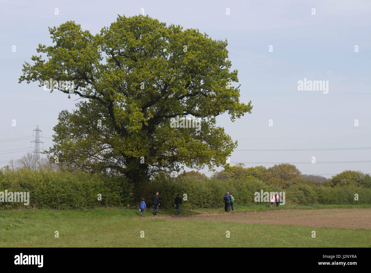 Cottingham, UK. 30th Apr, 2017. Dove House Sponsored Walk - raising ...