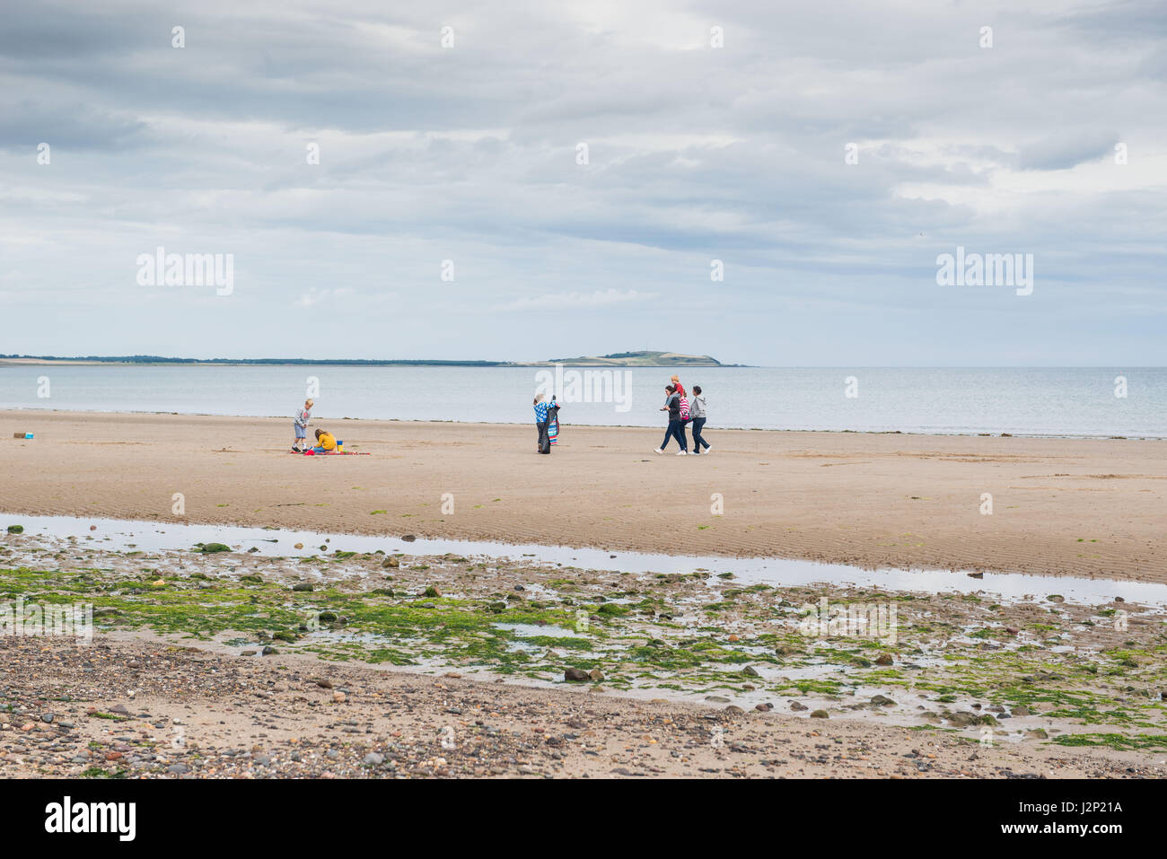 Keep Scotland Beautiful, KSB, LEVEN beach and park shoot Stock Photo ...