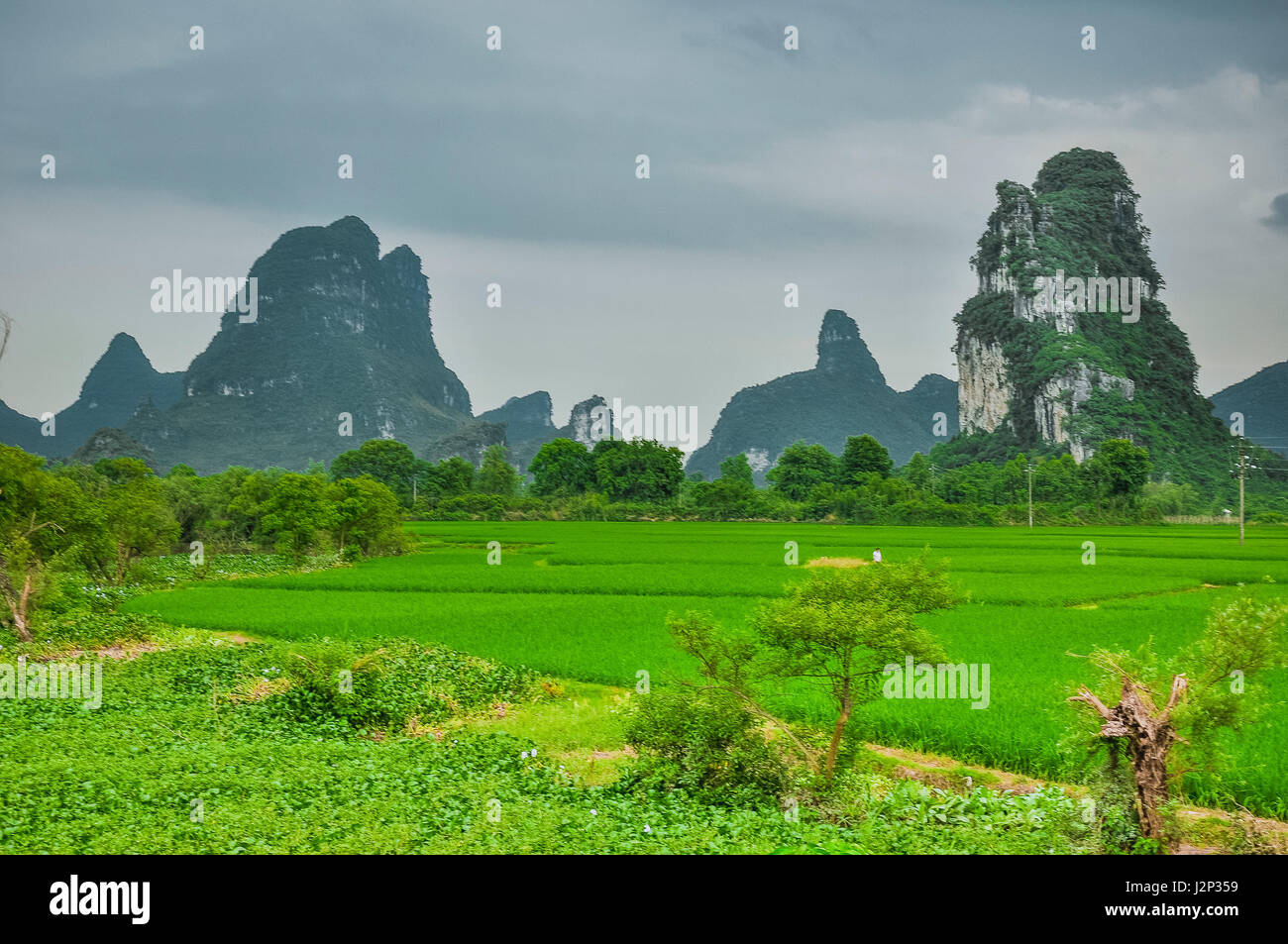 Beautiful countryside scenery in summer Stock Photo - Alamy