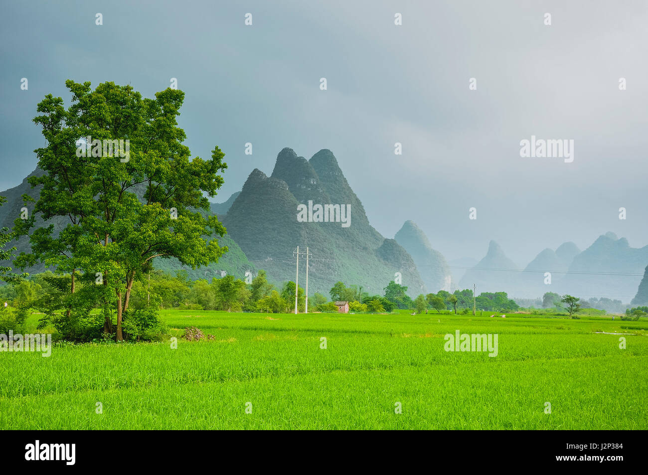 Beautiful countryside scenery in summer Stock Photo - Alamy