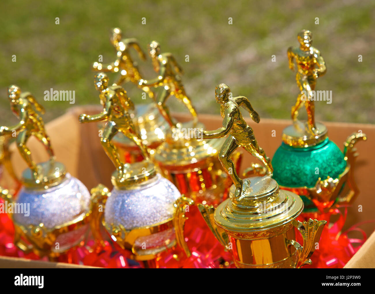 Box of golden trophies for winners of track and field competition ...
