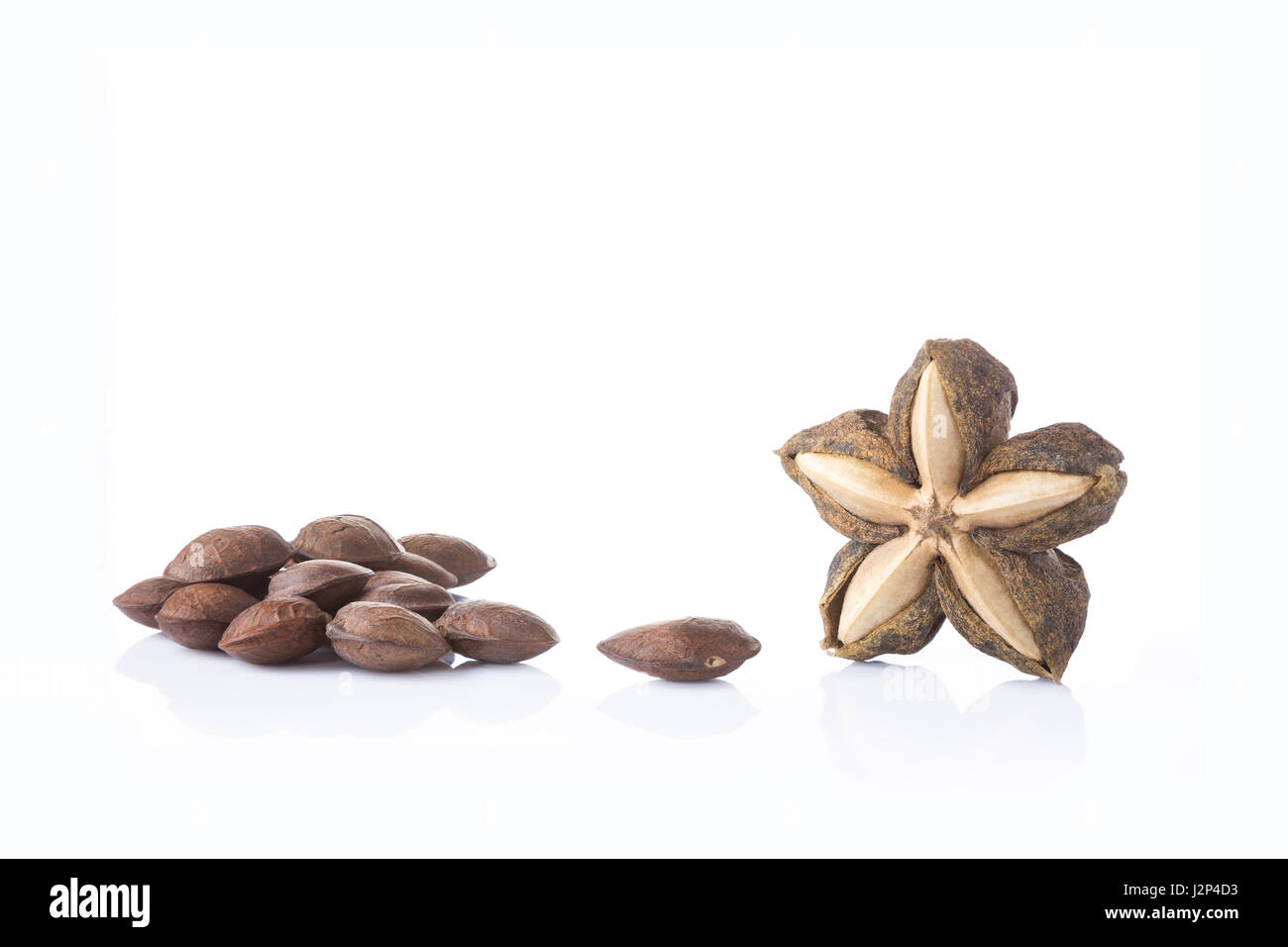 Sacha Inchi Plant High Resolution Stock Photography and Images - Alamy