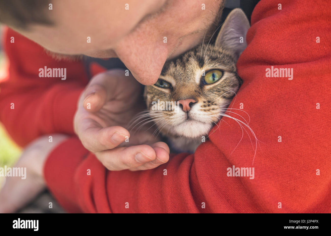 Homeless man with cat hi-res stock photography and images - Alamy