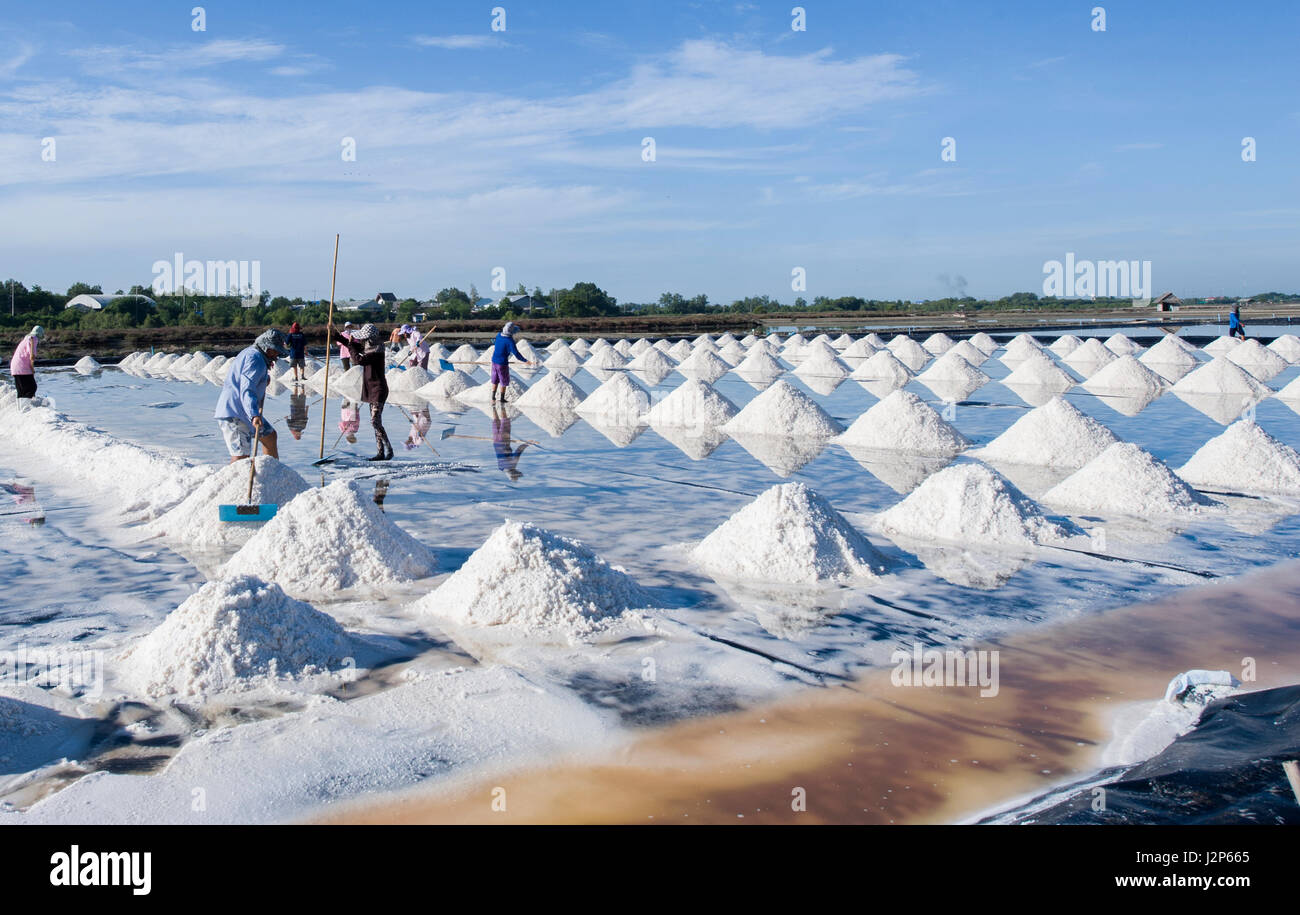 Salt farmer thailand hi-res stock photography and images - Alamy