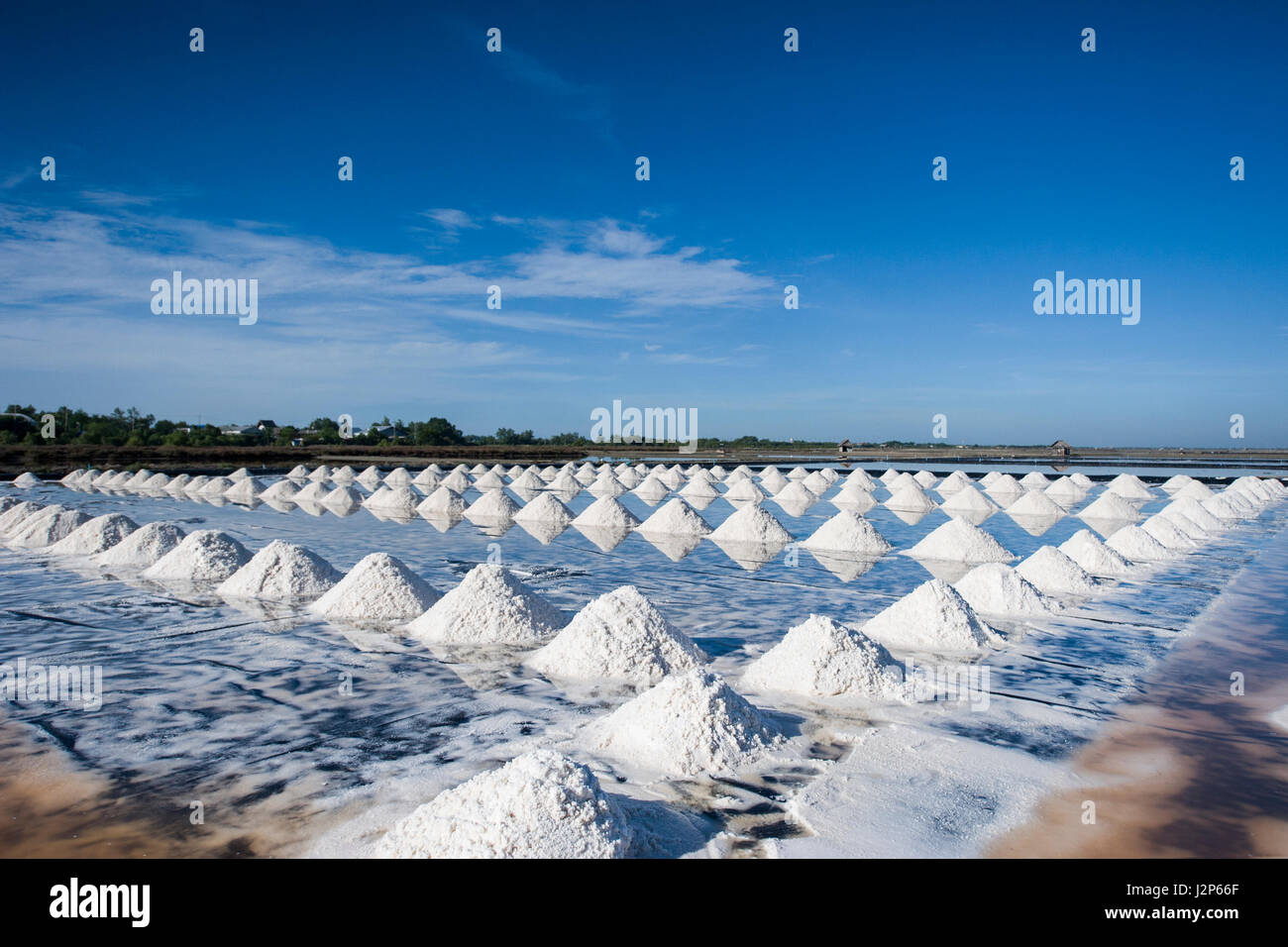 Sea salt field in Thailand Stock Photo - Alamy