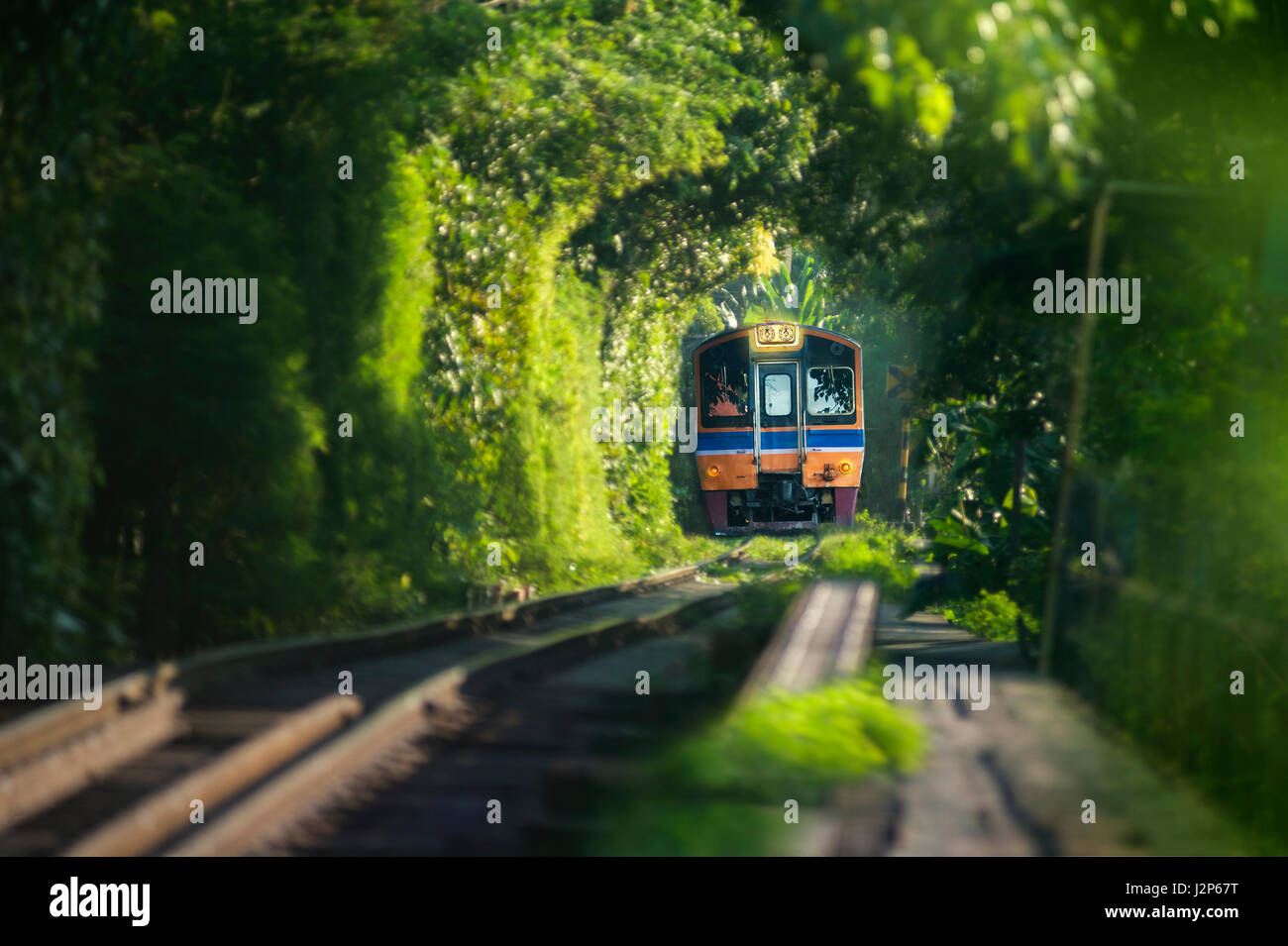 Image of blurry train running through natural tunnel tree on iron steel ...