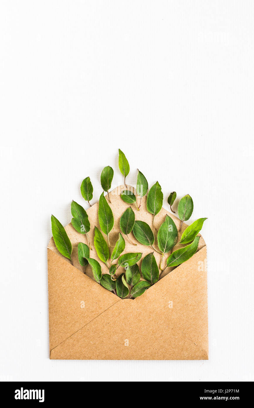 Twig craft frame Cut Out Stock Images & Pictures - Alamy