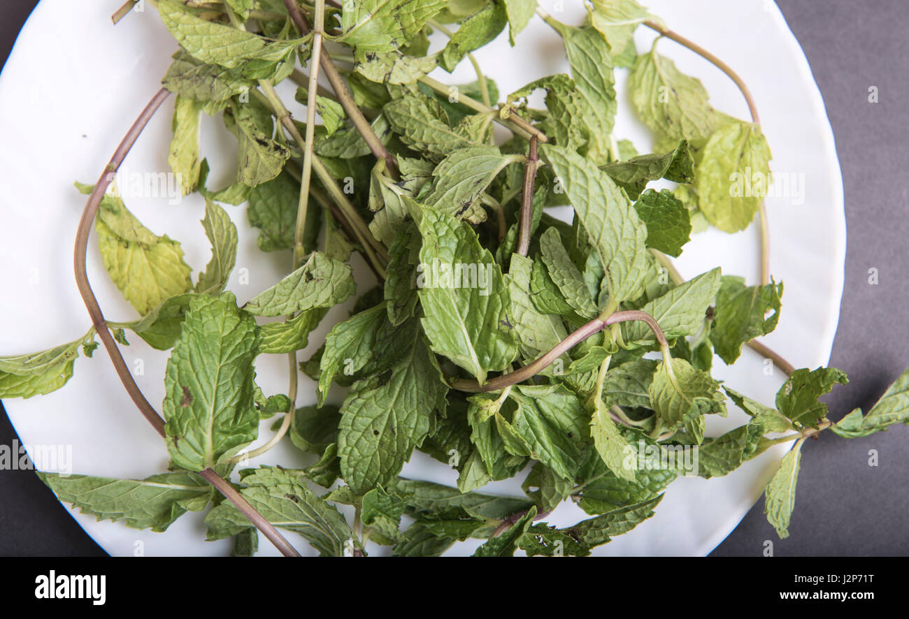 Mumbai / India 13 April 2017 Indian spices fresh mint leaves pudina ...