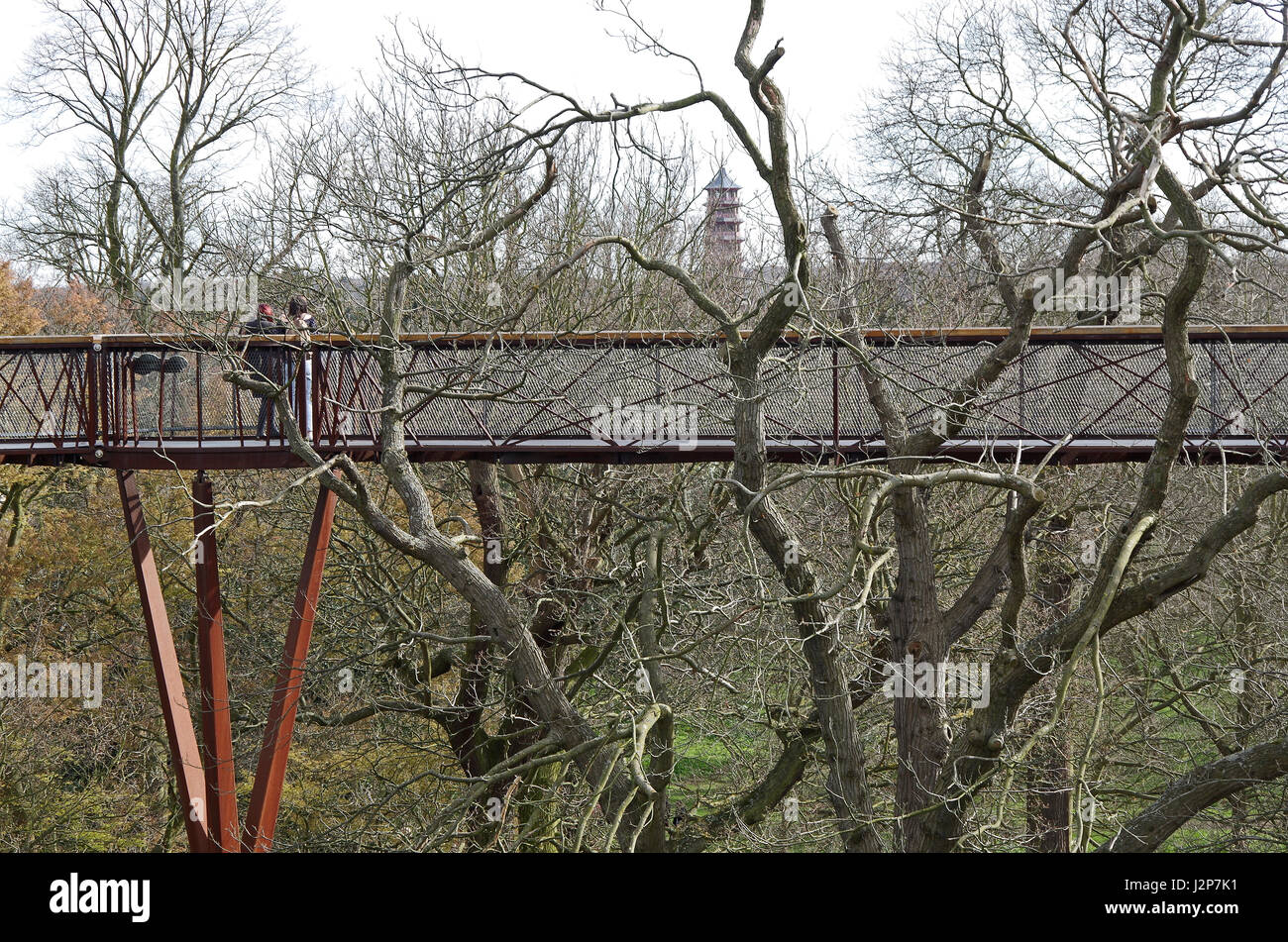 Tree Top Walkway, Royal Botanic Gardens, Kew, London, England Stock ...