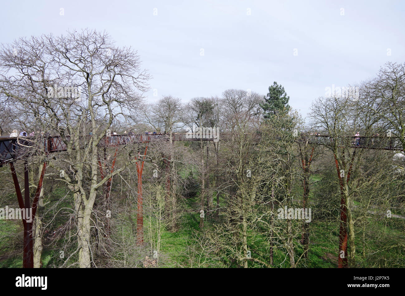 Tree Top Walkway, Royal Botanic Gardens, Kew, London, England Stock ...