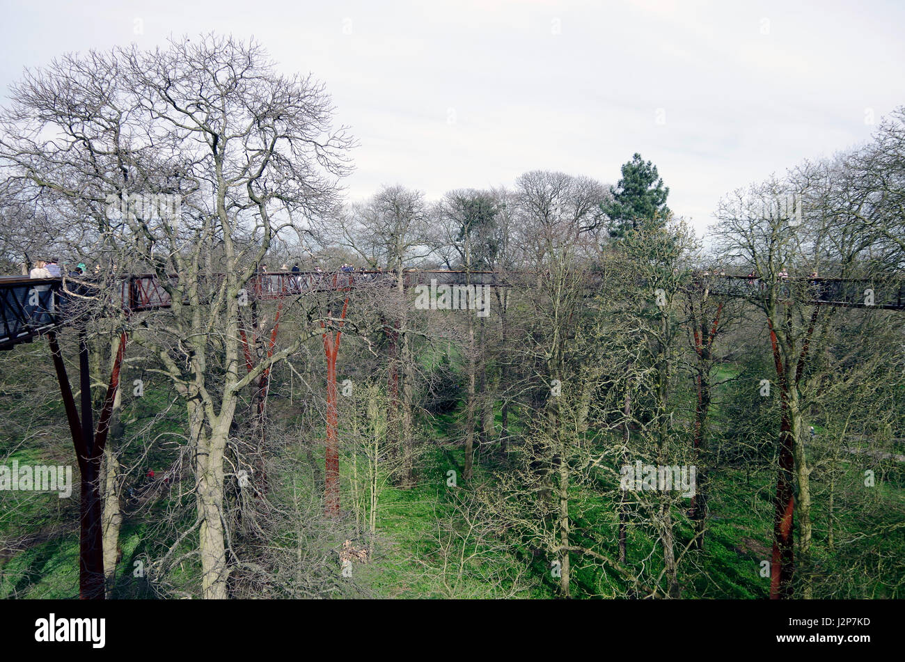 Tree Top Walkway, Royal Botanic Gardens, Kew, London, England Stock ...