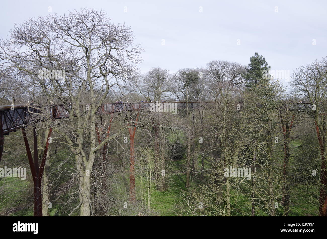 Tree Top Walkway, Royal Botanic Gardens, Kew, London, England Stock ...