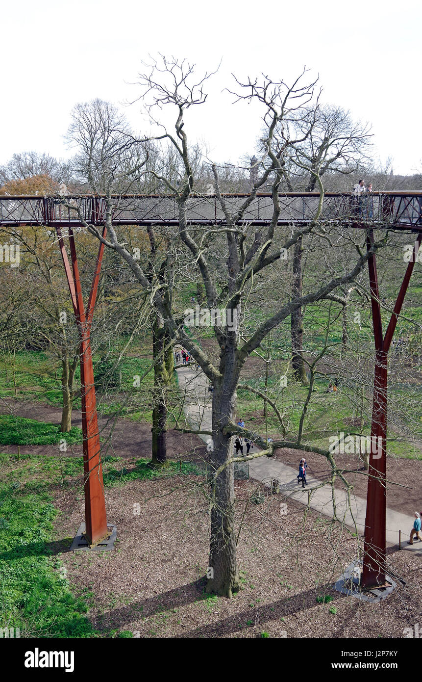 Tree Top Walkway, Royal Botanic Gardens, Kew, London, England Stock ...