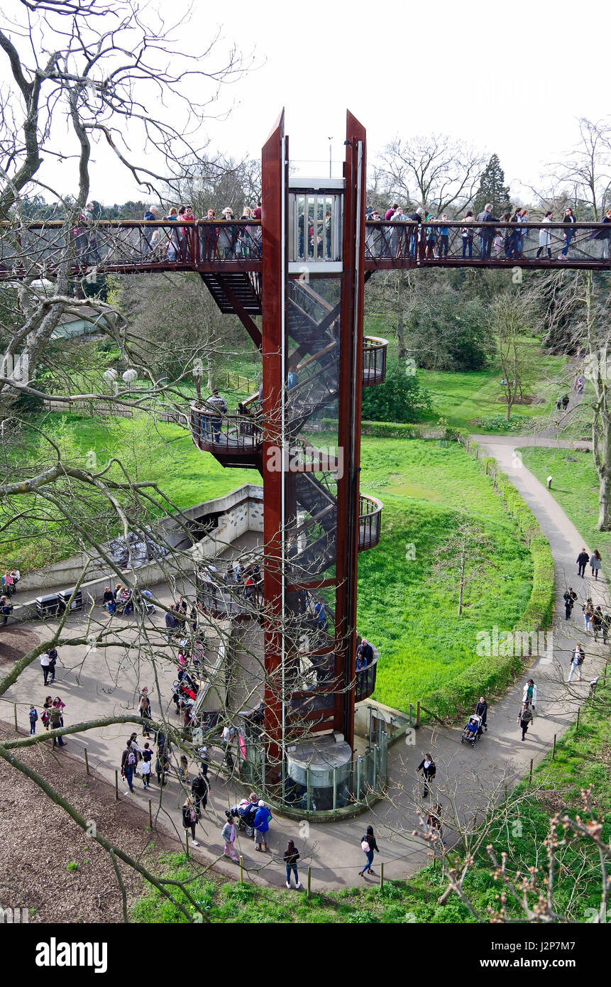 Tree Top Walkway, Royal Botanic Gardens, Kew, London, England Stock ...