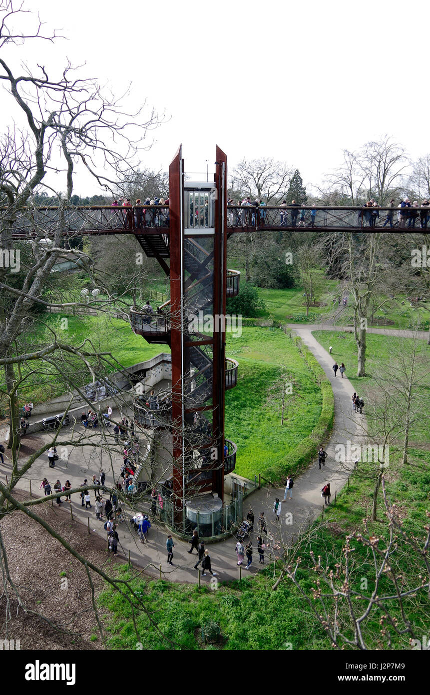 Tree Top Walkway, Royal Botanic Gardens, Kew, London, England Stock ...