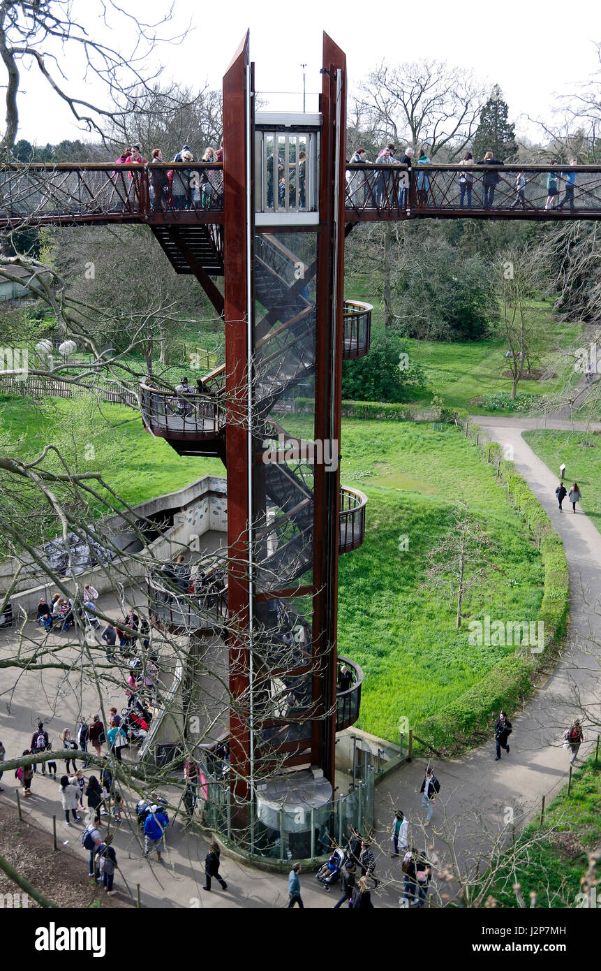 Tree Top Walkway, Royal Botanic Gardens, Kew, London, England Stock ...