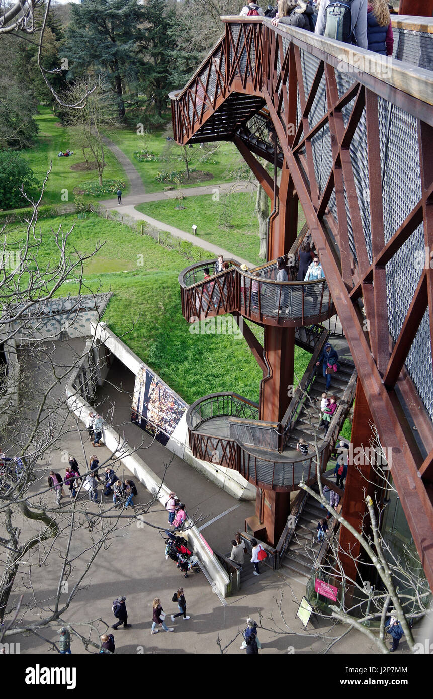 Tree Top Walkway, Royal Botanic Gardens, Kew, London, England Stock ...
