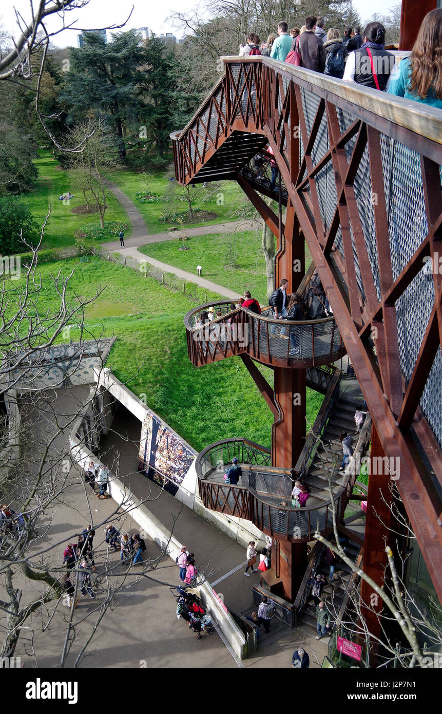 Tree Top Walkway, Royal Botanic Gardens, Kew, London, England Stock ...