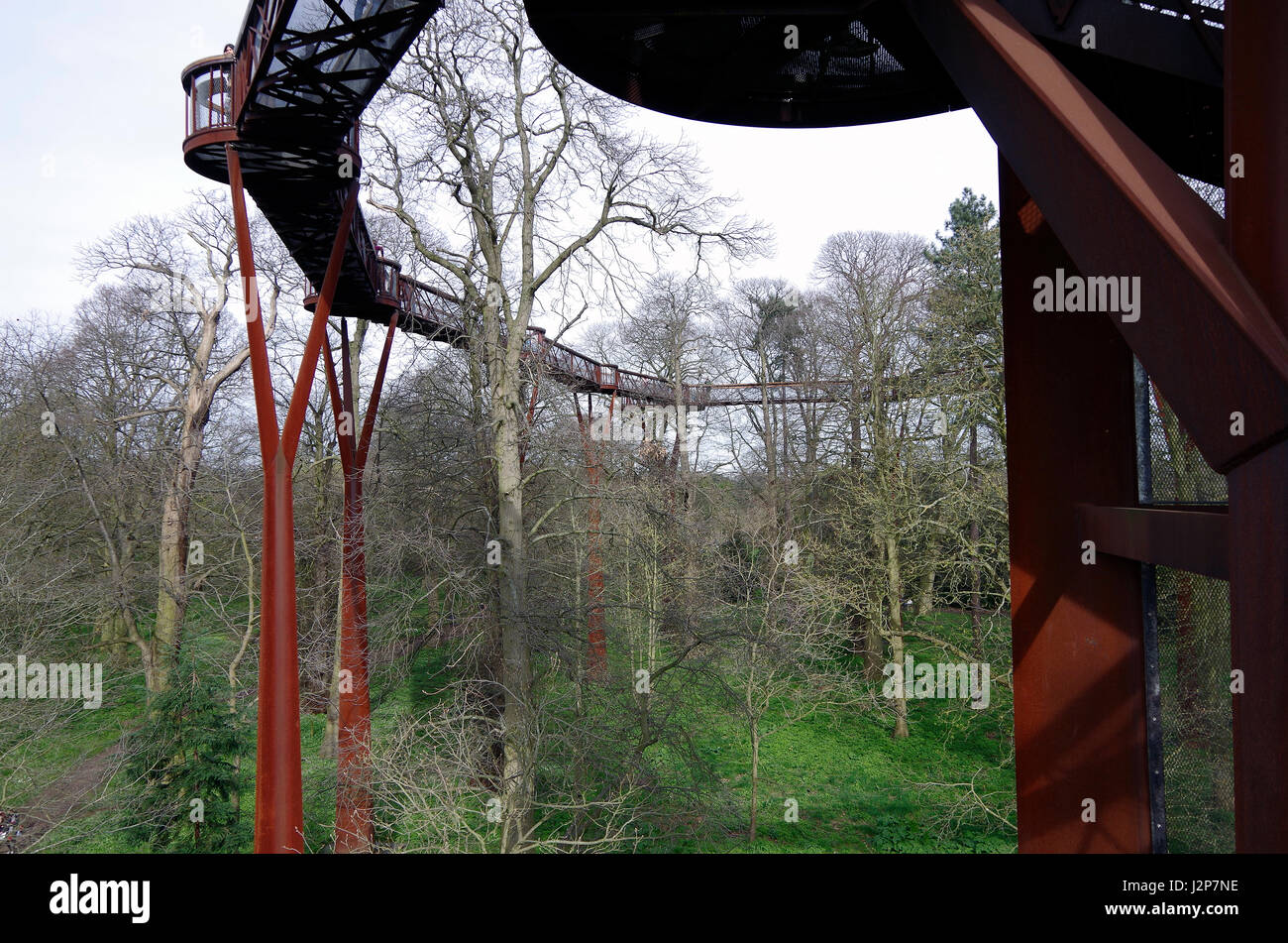 Tree Top Walkway, Royal Botanic Gardens, Kew, London, England Stock ...