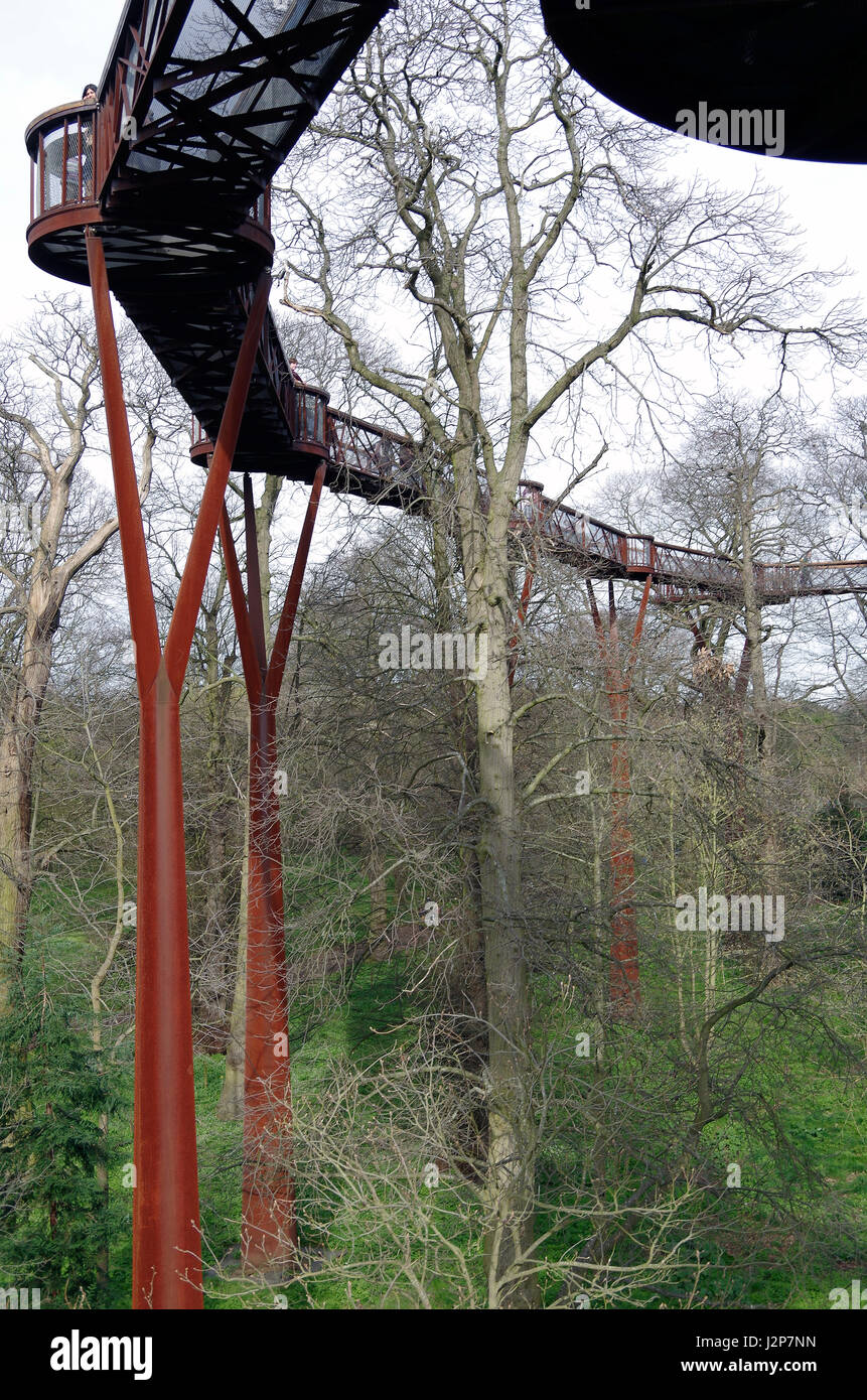 Tree Top Walkway, Royal Botanic Gardens, Kew, London, England Stock ...