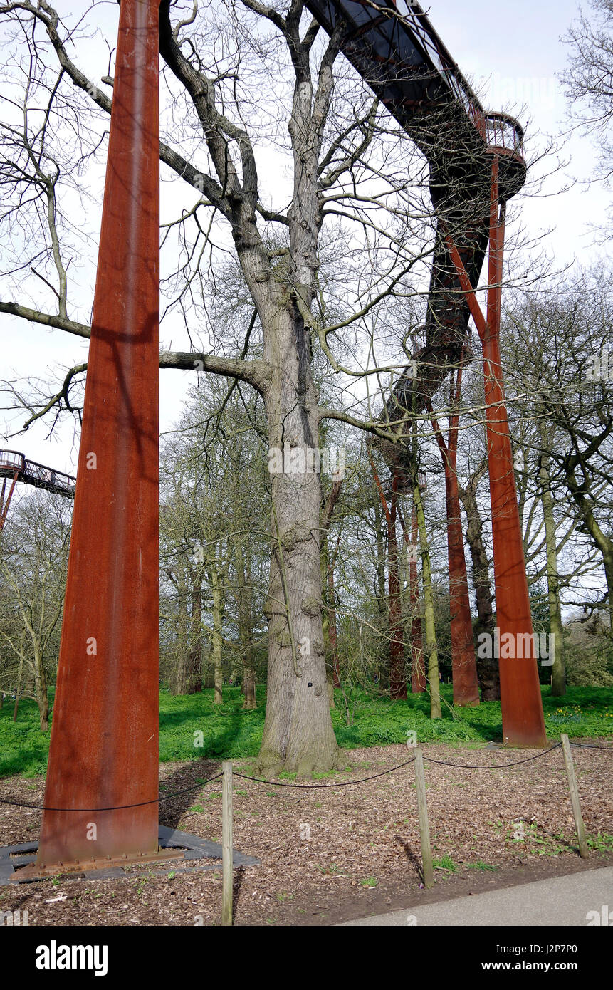 Tree Top Walkway, Royal Botanic Gardens, Kew, London, England Stock ...