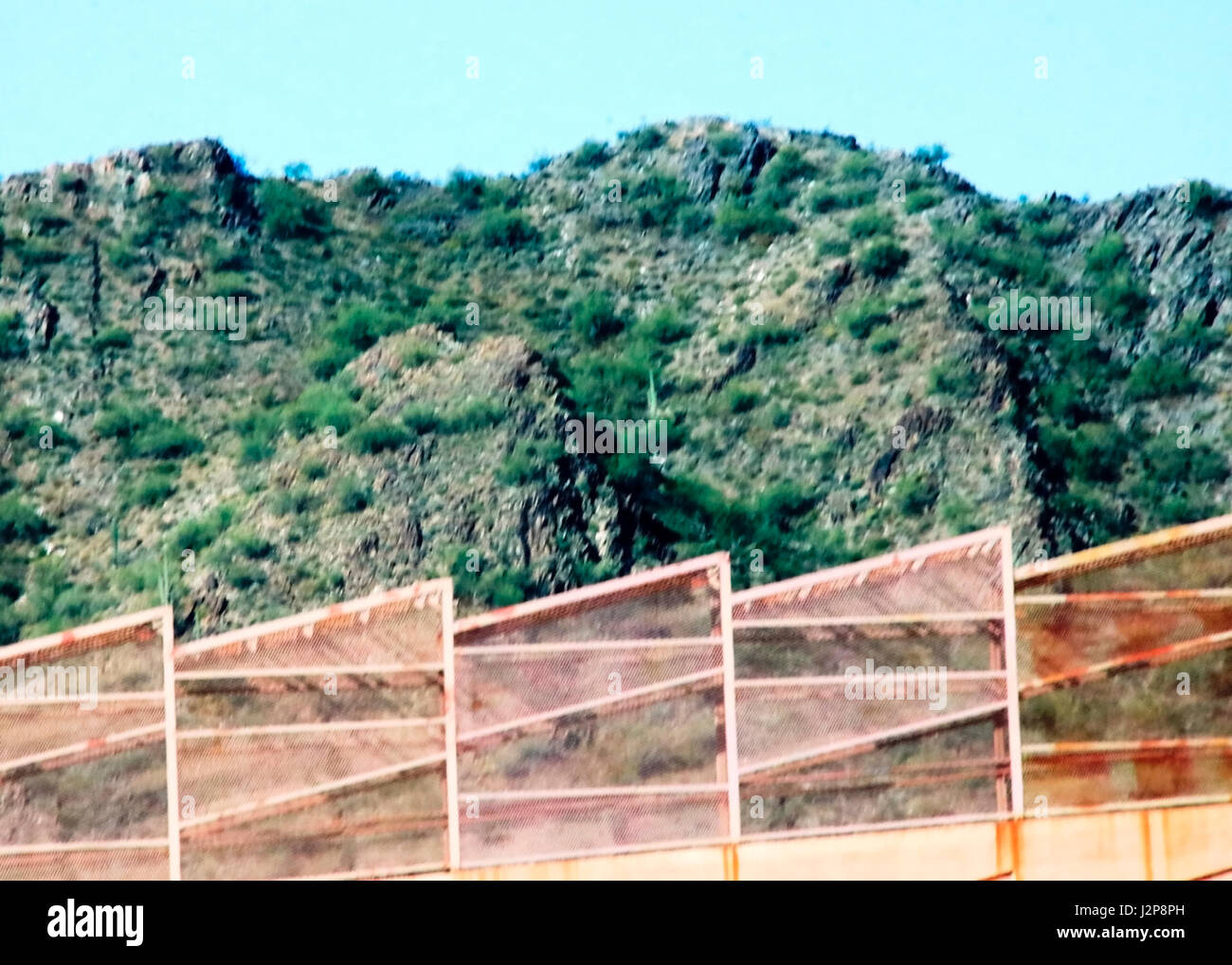 A beautiful desert scene full of greenery Stock Photo - Alamy
